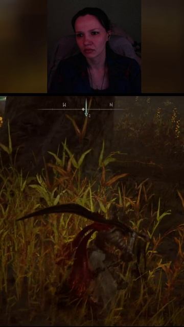 Безумный цветник #shorts #eldenring