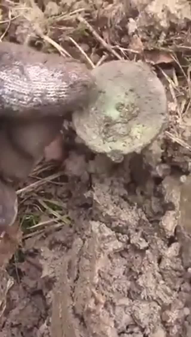 НАШЁЛ РЕДКИЙ МАССОН 10 -КОПЕЕК Цена80тысяч shorts