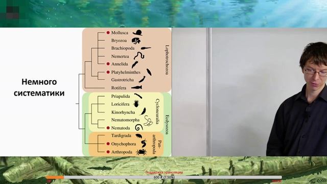 Кембрийский период, рассказывает палеонтолог Ярослав Попов