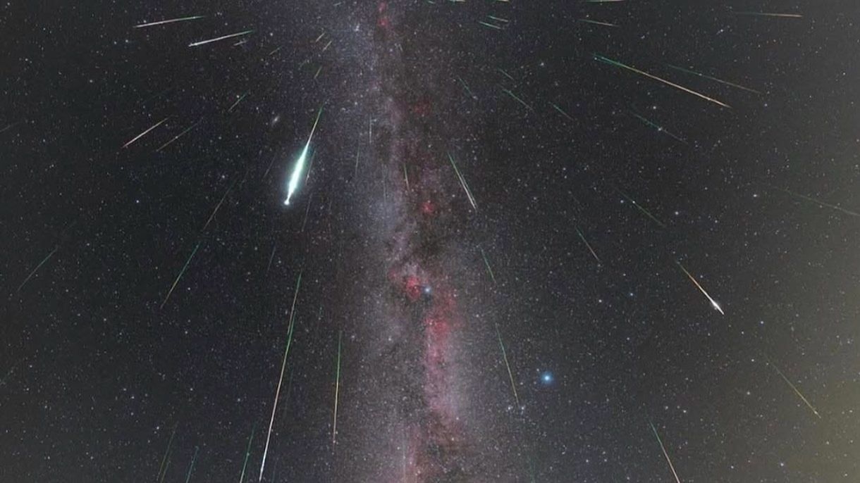 Rupert Ellis - Wartortle