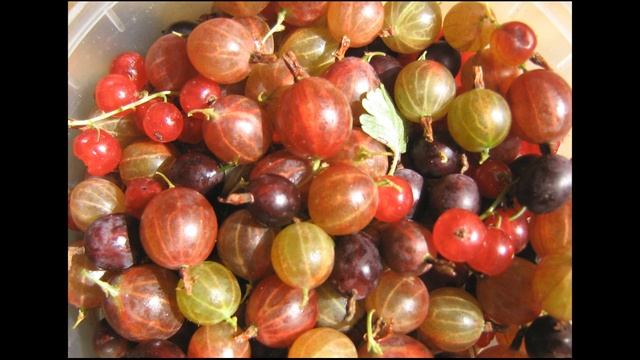 Дача ч1 2006.mp4