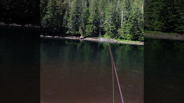 Отрывок геймплея Real Vr Fishing