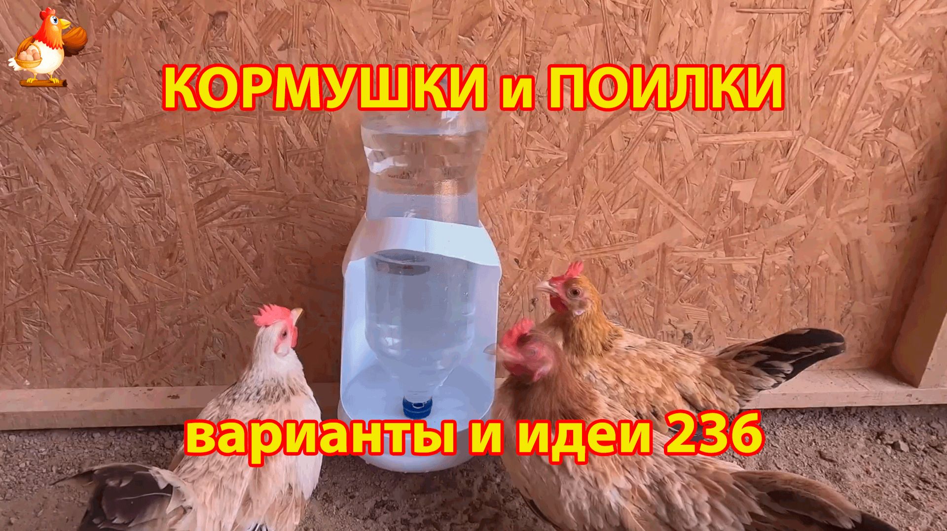 Кормушки и поилки для кур своими руками 236 🪚✂️ Пошаговая инструкция как сделать 🐔 🐓❣️