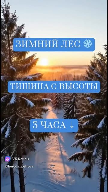 Тишина зимнего леса ❄️ Полная 3-часовая версия