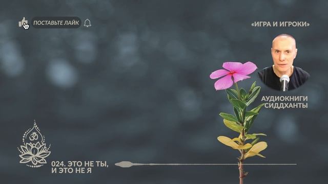 Игра и Игроки. 024. Это не ты, и это не я. Аудиокниги Сиддханты (Вячеслава Чернина)