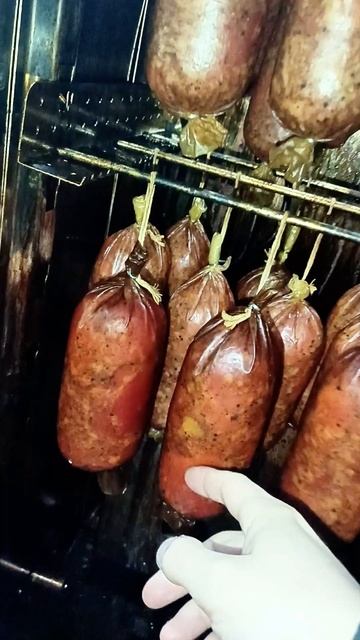 3 дня за 30 секунд!