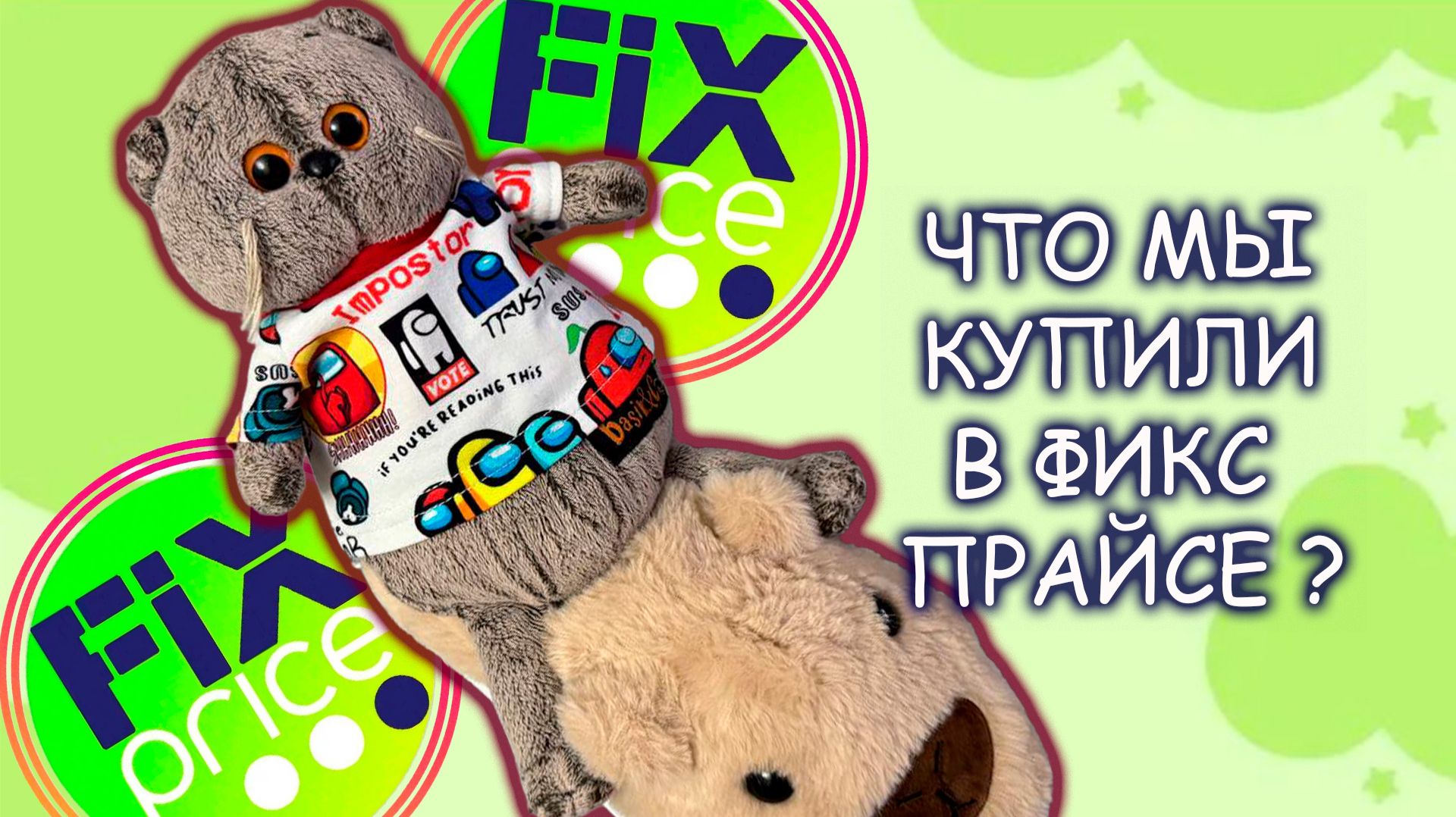 🛍️ ШОК-ЦЕНЫ! Басик в Фикс Прайс: Что мы нашли? Итоговая сумма! 😱Лайфстайл влог с Басиком