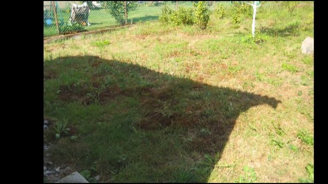 Дача ч7 2012-2014.mp4