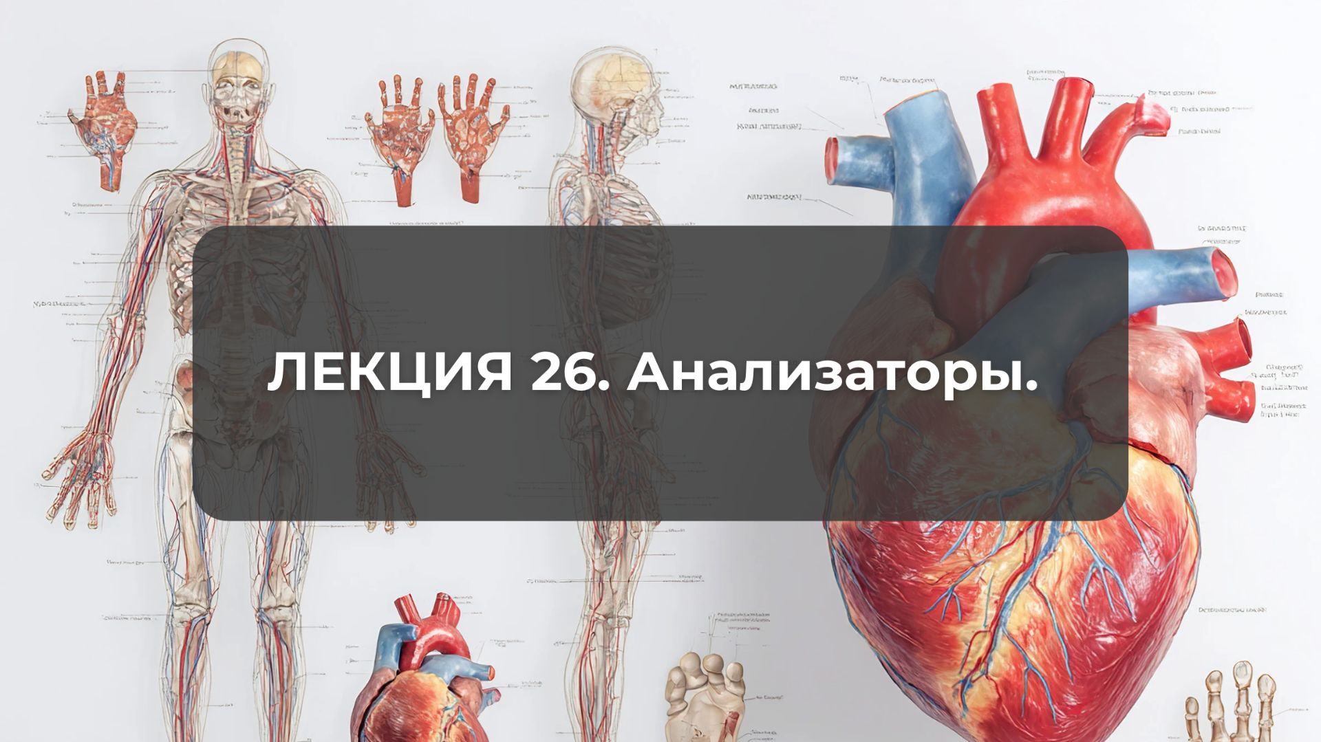 Лекция 26. Анализаторы.