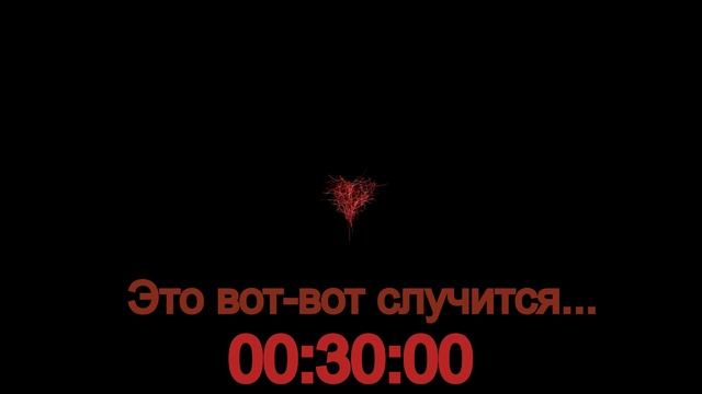 Таймер: 60 мин Это вот-вот случится 1920x1080 30fps Сердце