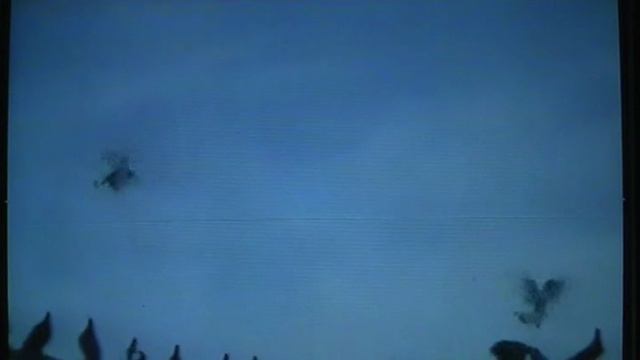 Голубеводы Ташкента 1995 г. ч. 1