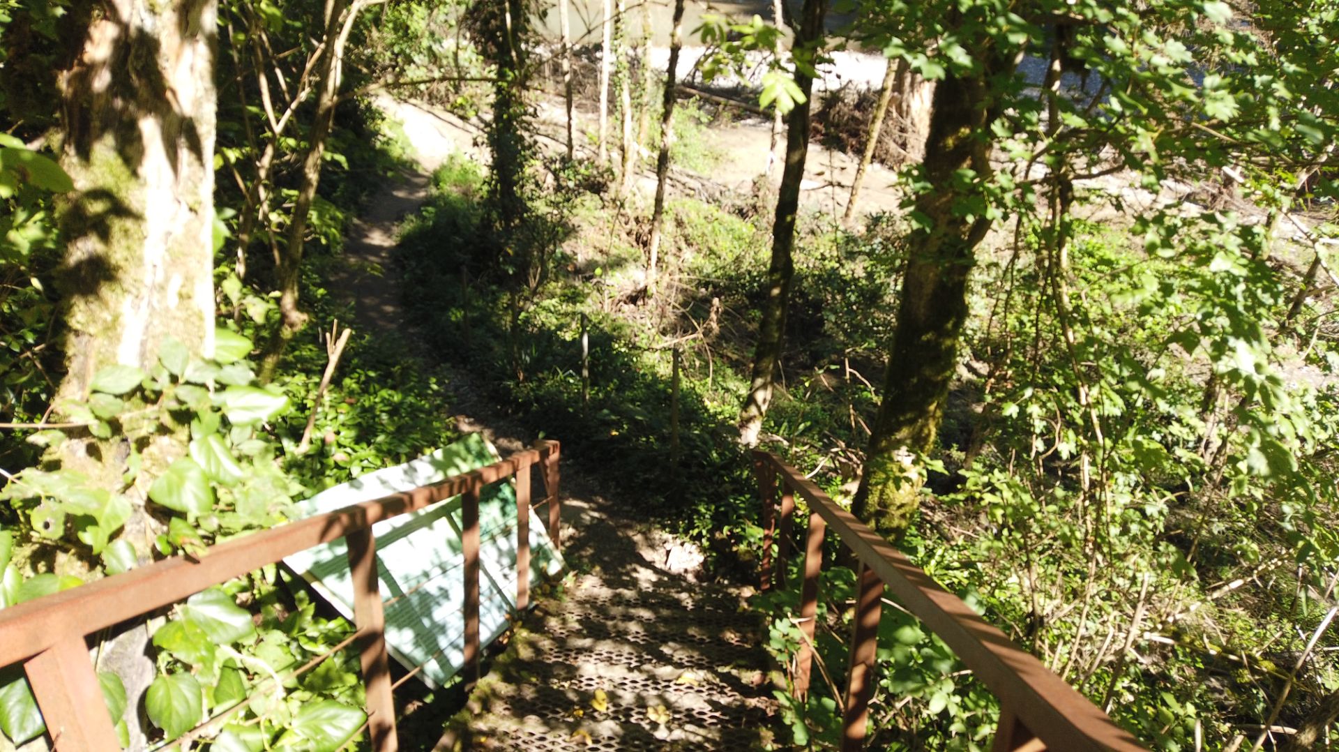 Малое кольцо и лабиринт в Тисо самшитовой роще.