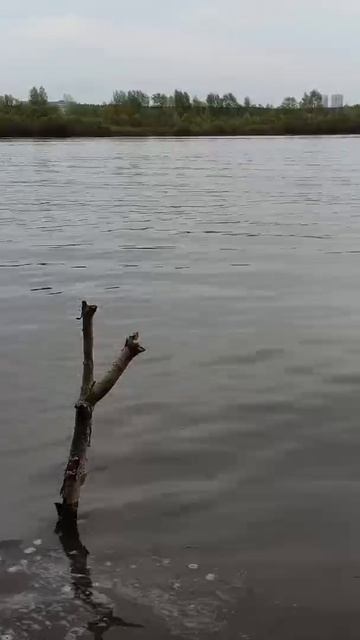 ОЗЕРО НА ЗВЁЗДНОЙ