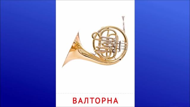 14  валторна