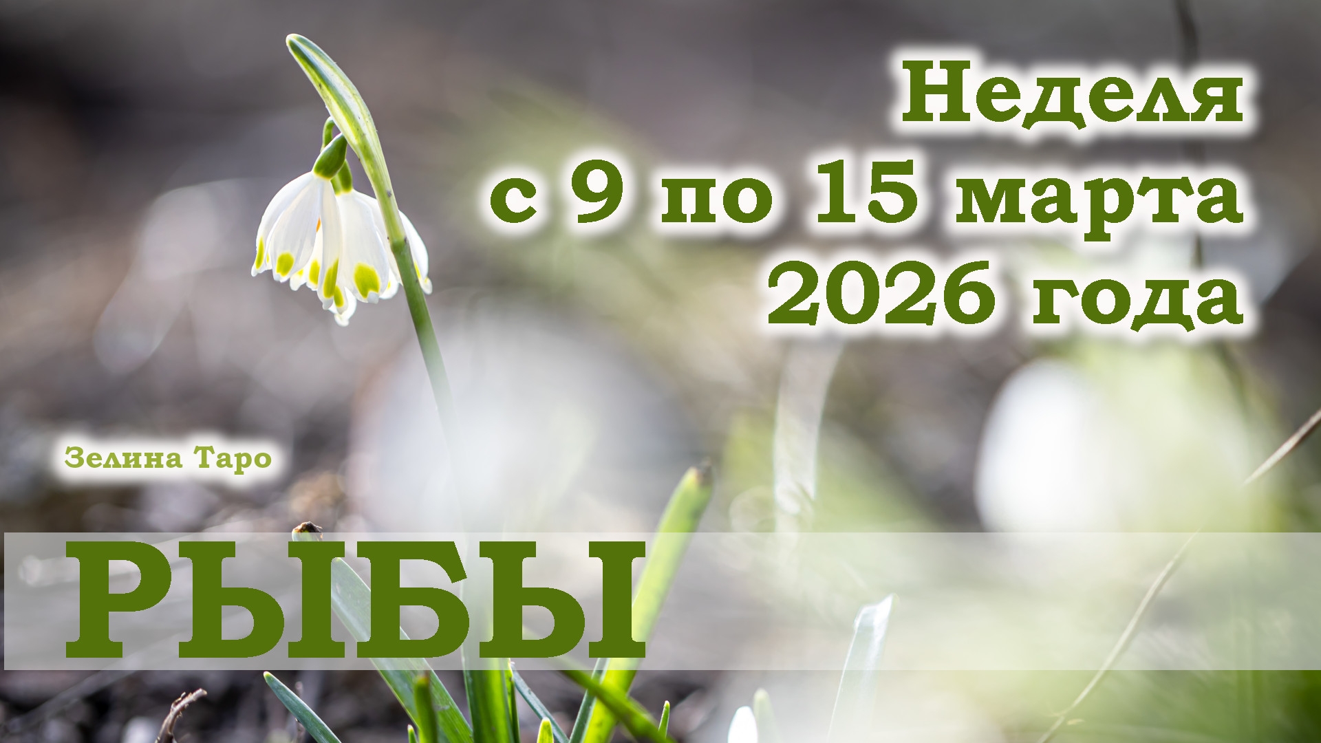 РЫБЫ | ТАРО прогноз на неделю с 9 по 15 марта 2026 года
