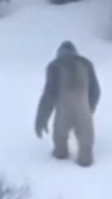 Йети или снежный человек