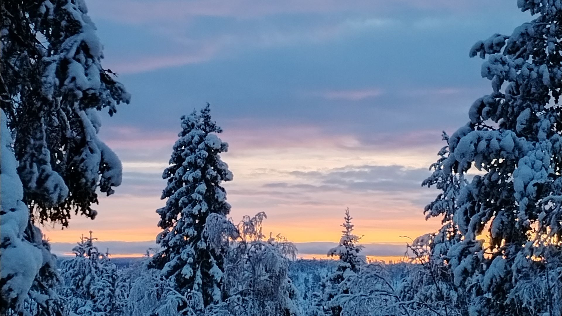 Прощальный вальс