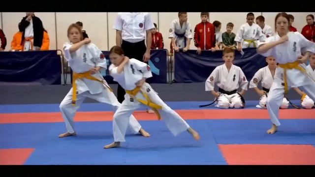 Федерация Киокушин России