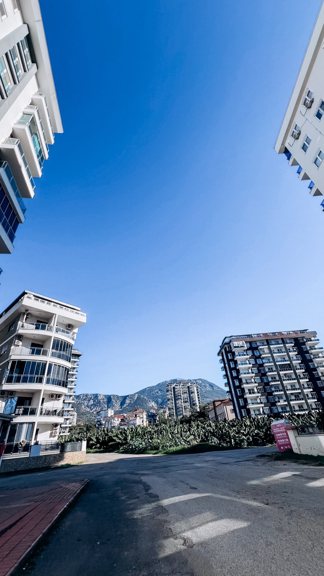 🍊 Пятничный рынок в Махмутларе — настоящий вкус Турции!