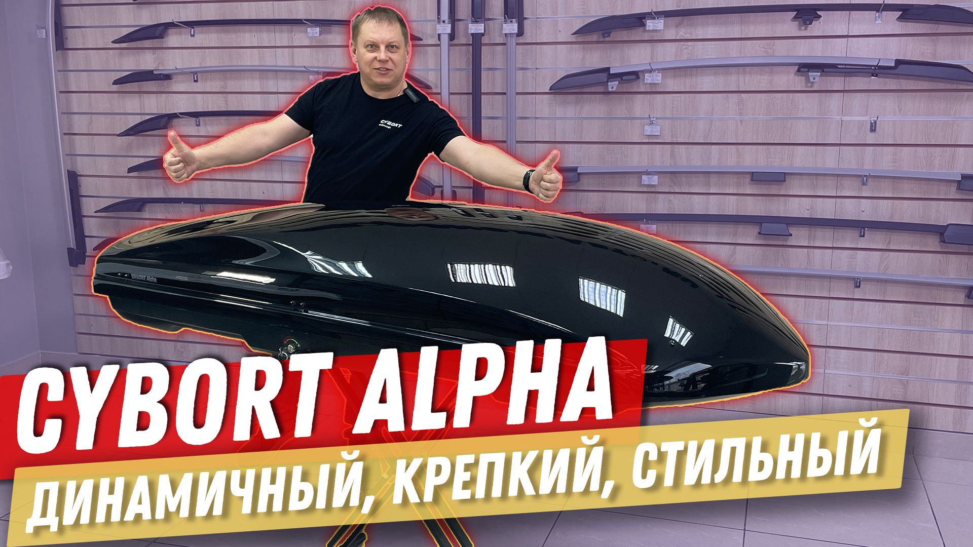 Обзор автобокса Cybort Alfa 470 литров в цвете черный металлик