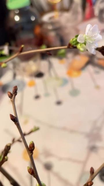 Вдохновляю вас на то, чтобы найти веточки и поставить дома