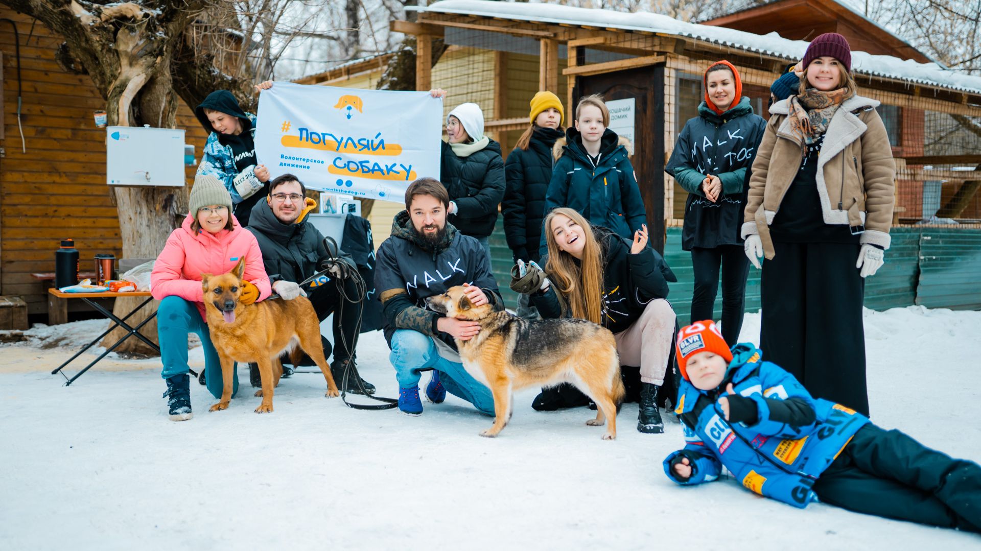 Прогулки в приютах вместе с "Погуляй собаку"