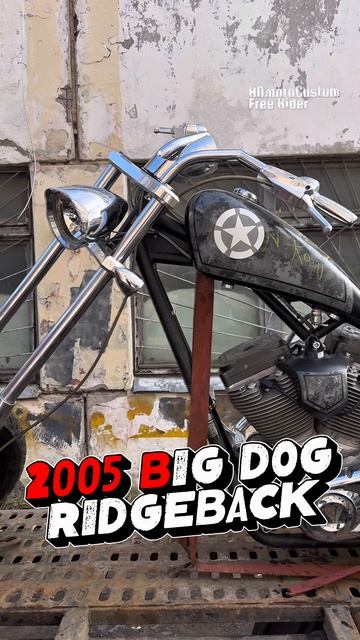 Мотоцикл BIG DOG RIDGEBACK 2005: мощный кастомный чоппер с жесткой рамой
