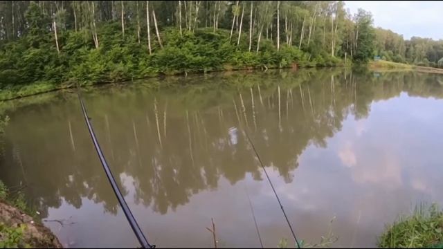 КАРП из Лесного Озера. (7)