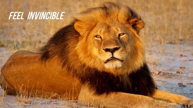 Skillet - Feel Invincible