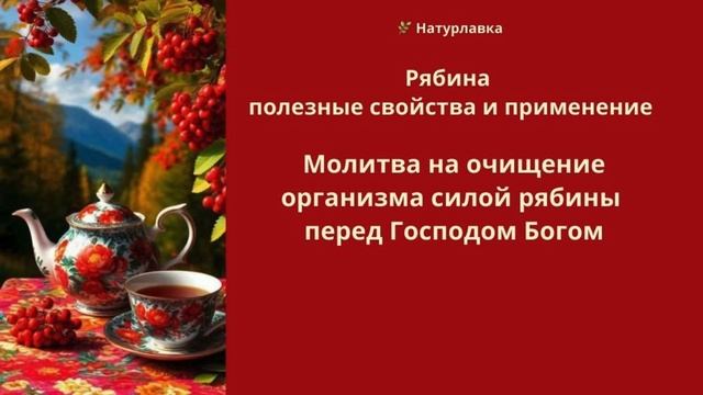 Молитва на очищение организма силой рябины перед Господом Богом.