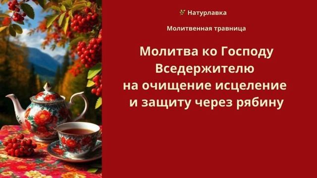 Молитва ко Господу Вседержителю на очищение, исцеление и защиту через рябину.