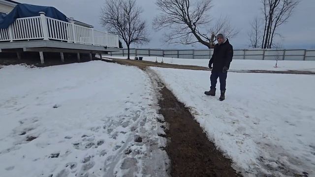 Сельчанка в Америке/МОЯ ПРОРОСШАЯ ПШЕНИЦА.