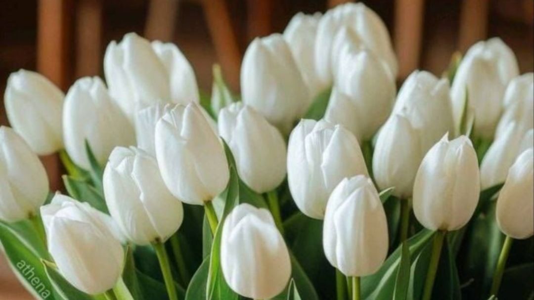 ДМИТРИЙ 🌹 ВАМ РЕСПЕКТ 🌹ПОЗДРАВИЛ НАС С ПРАЗДНИКОМ 🌹🌹🌹 Я ПРИСОЕДИНЯЮСЬ К ЕГО СЛОВАМ