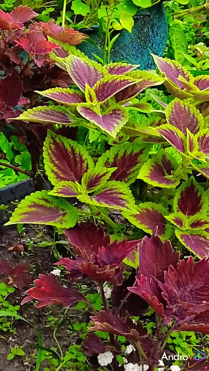 Позитив!❤️ Всем, здоровья и добра! 08-03-2026