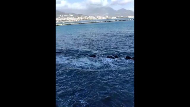 Турция. Алания. Кусочек из путешествия