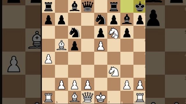 Как Макс сицилианку рвёт