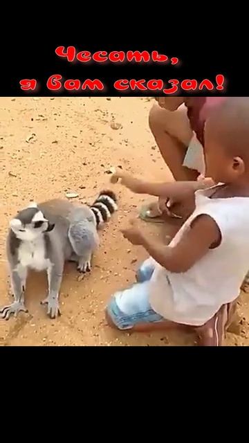 Юмор 5 звезд - #юмор #смешно #ржач #прикол #анекдот #веселоевидео