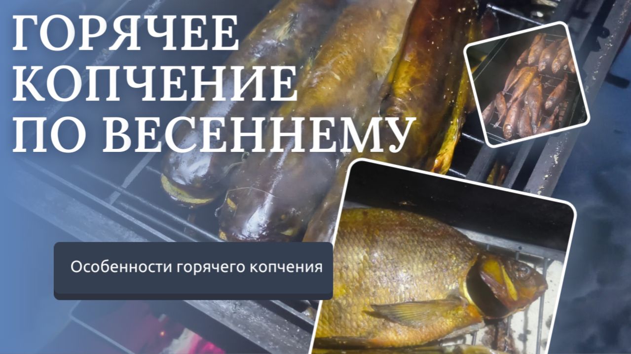 Весеннее копчение рыбы горячим способом! Золотистая рыбка, лайфхаки, природа и свежий воздух!