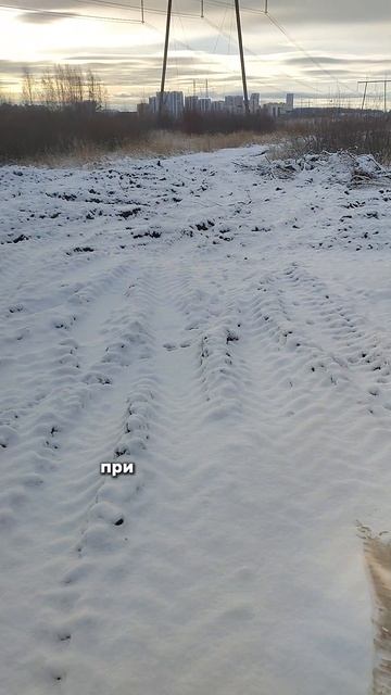 Автосервис СТО из сэндвич-панелей 25х16. Часть 55.