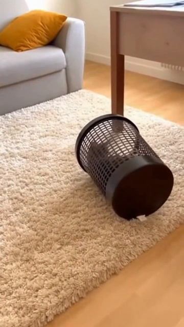 Неудачное приземление 🙀