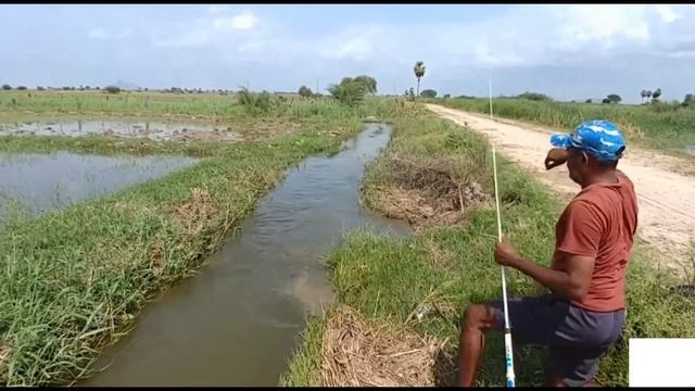 Такой маленький ручей,а рыбка ЕСТЬ.Сошел СОМ хорошего размера..