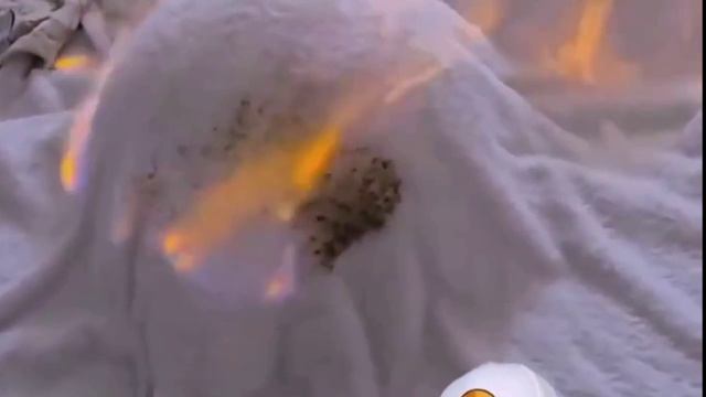 Запишите моего родственника только без полотенца