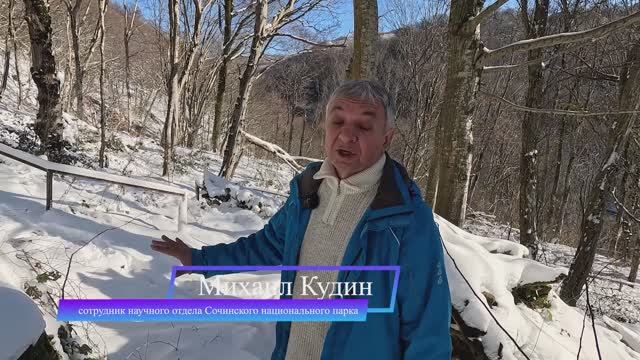 Протодольмен в Мамедовом ущелье.