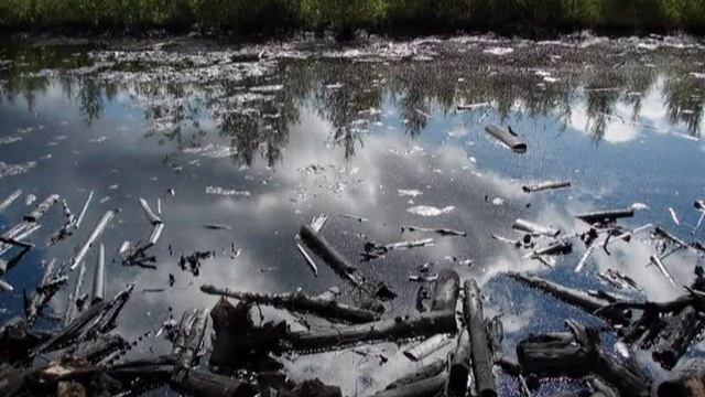 Россия перед Вторым Пришествием. ч. 1