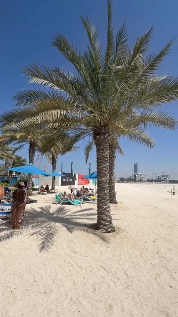 Принудительный отдых в ОАЭ продолжается…