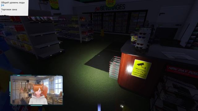 DrainSim 3 Магазин шаговой доступности Прохождение | Сюжет | Озвучка