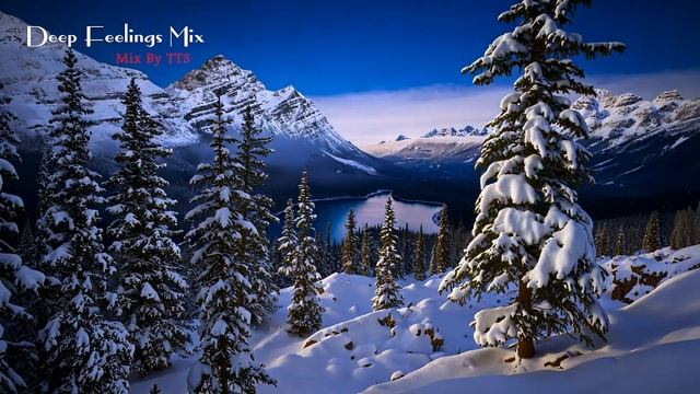 Deep Feelings Mix #248-(1080p30)