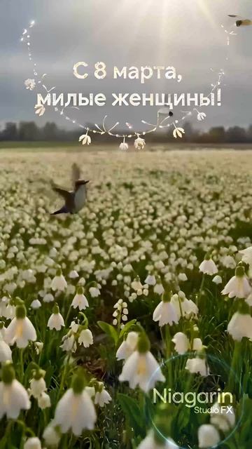 С праздником вас, милые и дорогие наши женщины!  ☺🎉❤ 🌹🌹🌹 🌷🌷🌷 💐💐💐