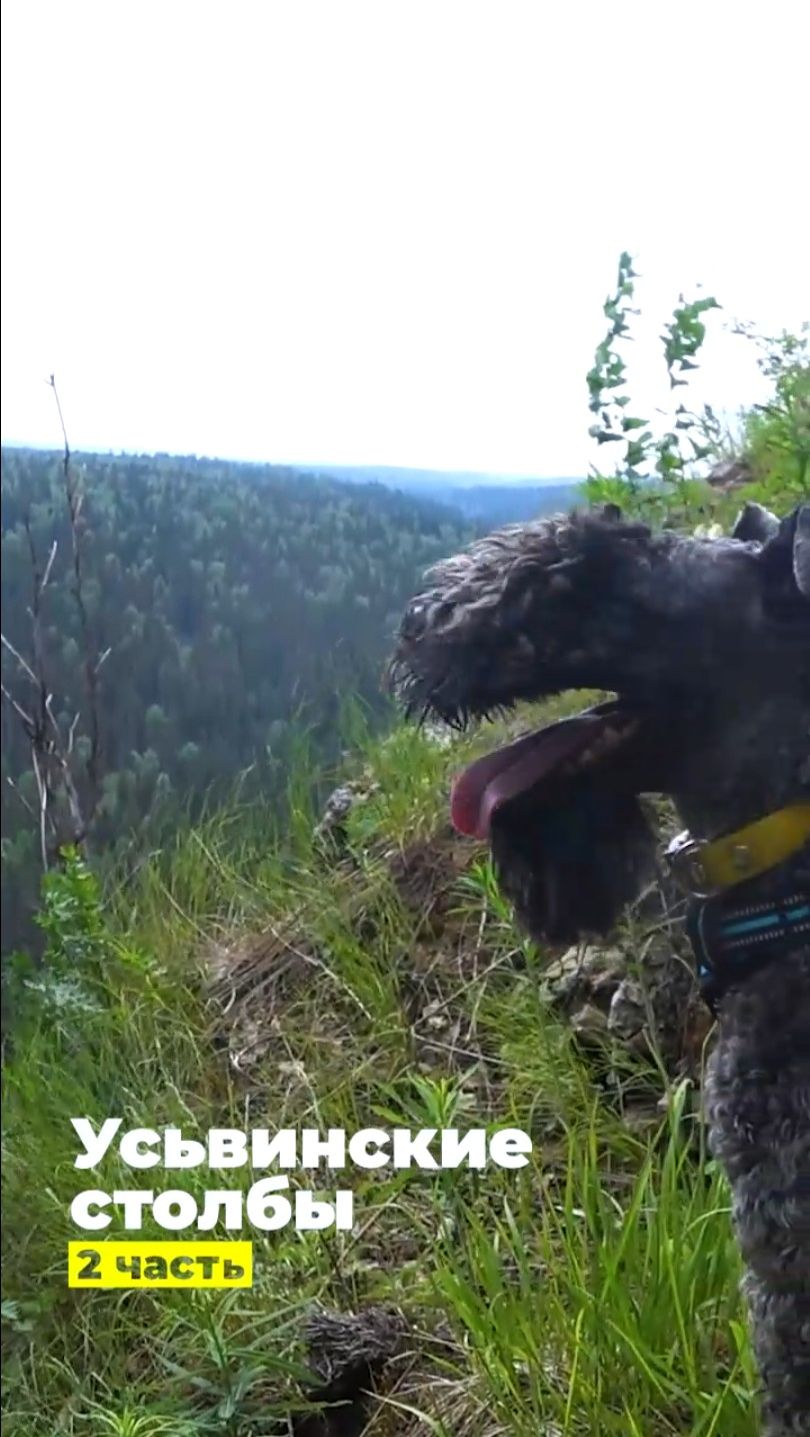 Пермский край часть 6: Усьвинские столбы 2
