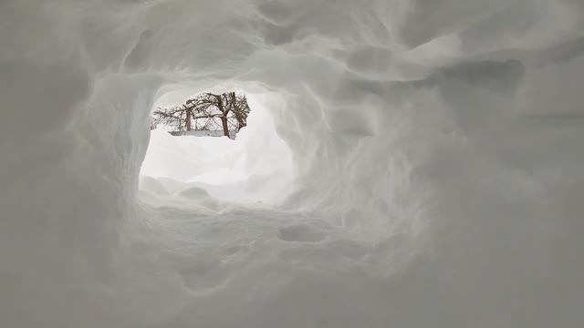 Построенные снежные пещеры на даче